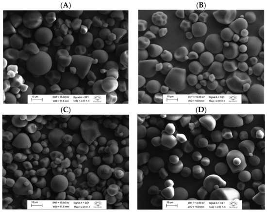 Seasonal Variations in the Starch Properties of Sweet Potato Cultivars