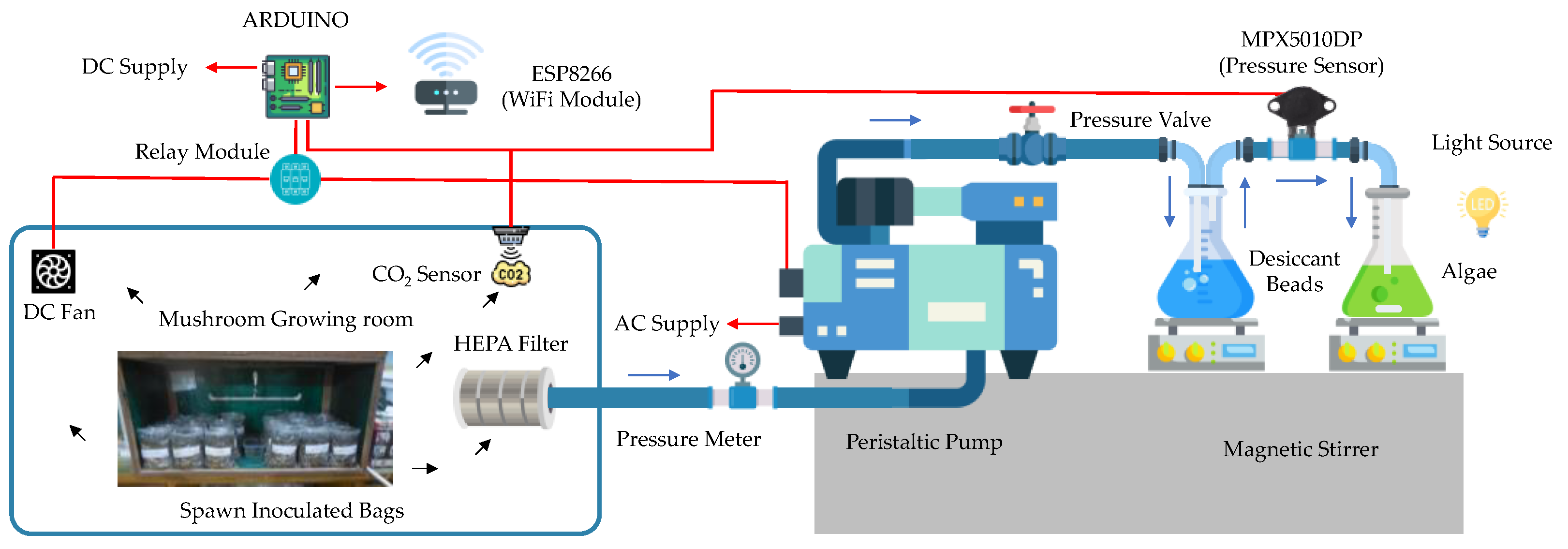 Horticulturae | Free Full-Text | Sustainable Use of CO2 and Wastewater from Mushroom Farm for ...