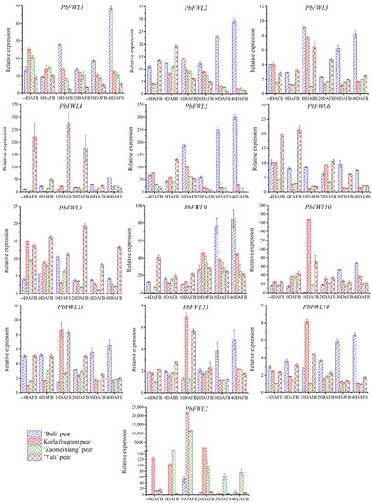 Genome-Wide Identification and Expression Analysis of the fw2.2-like Gene Family in Pear