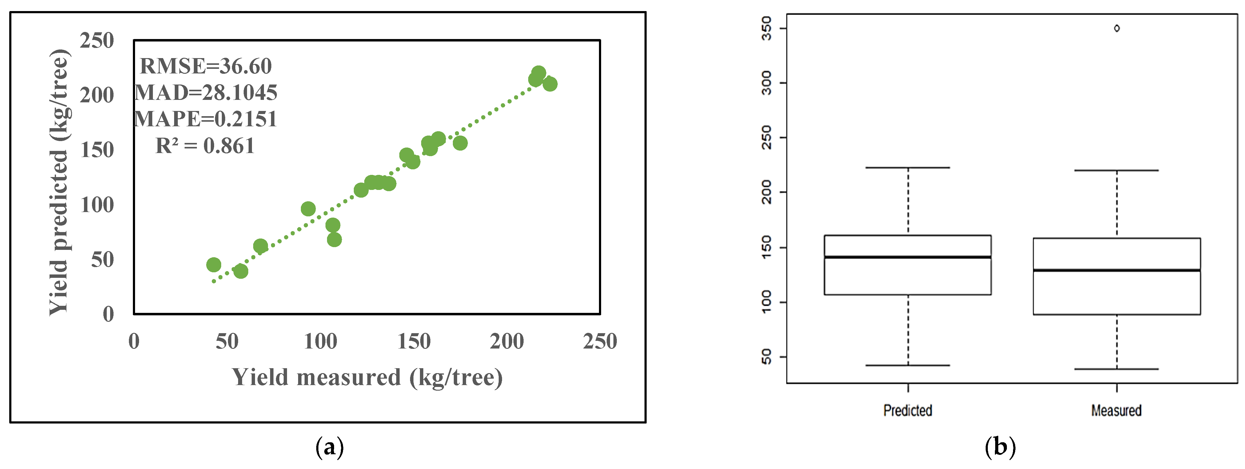 Artificial Neural Network Based Apple Yield Prediction Using Morphological Characters
