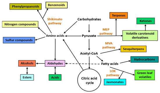 Volatile Organic Compounds: A Review of Their Current Applications as ...