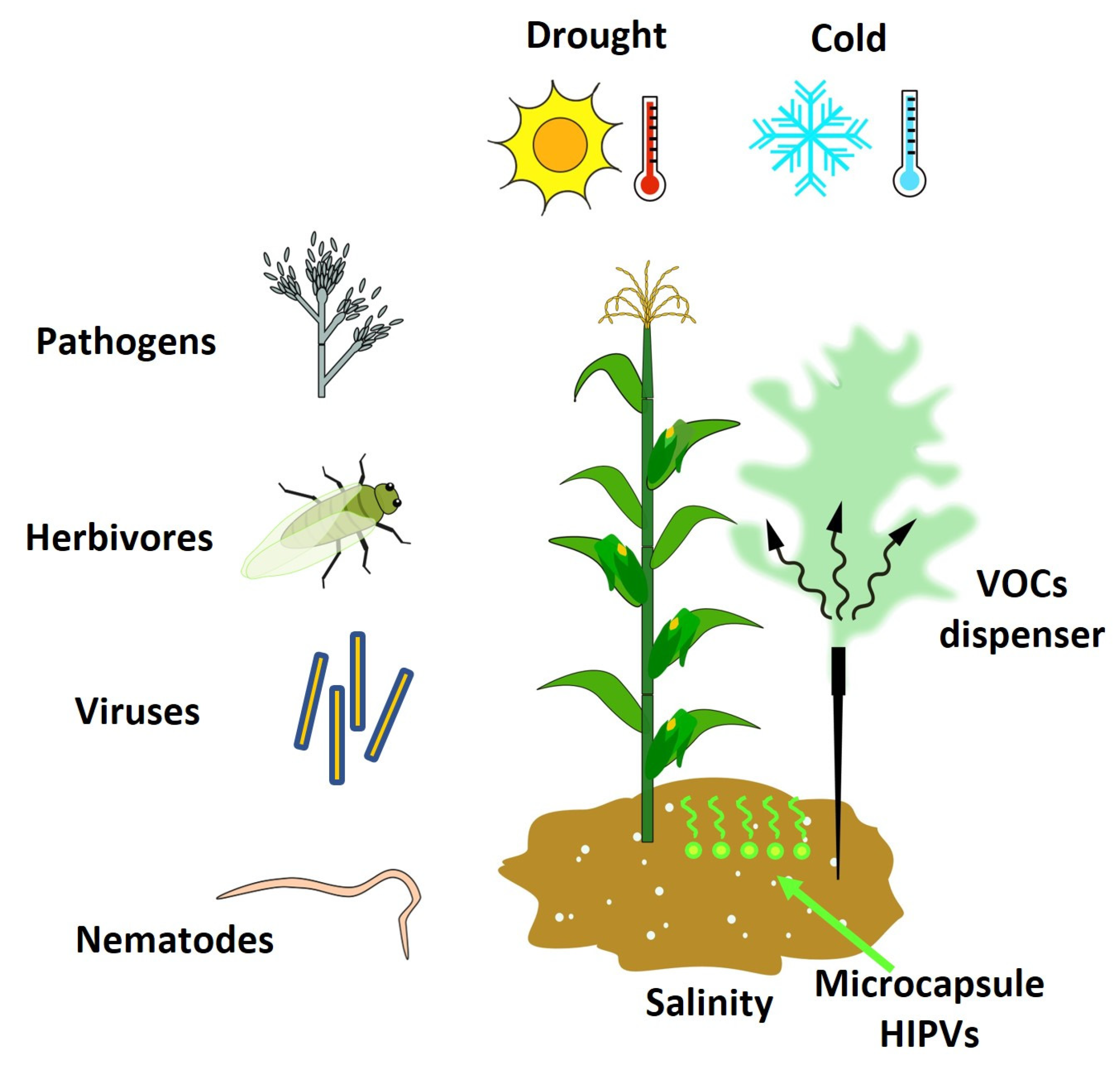 Very Volatile Organic Compounds Deals