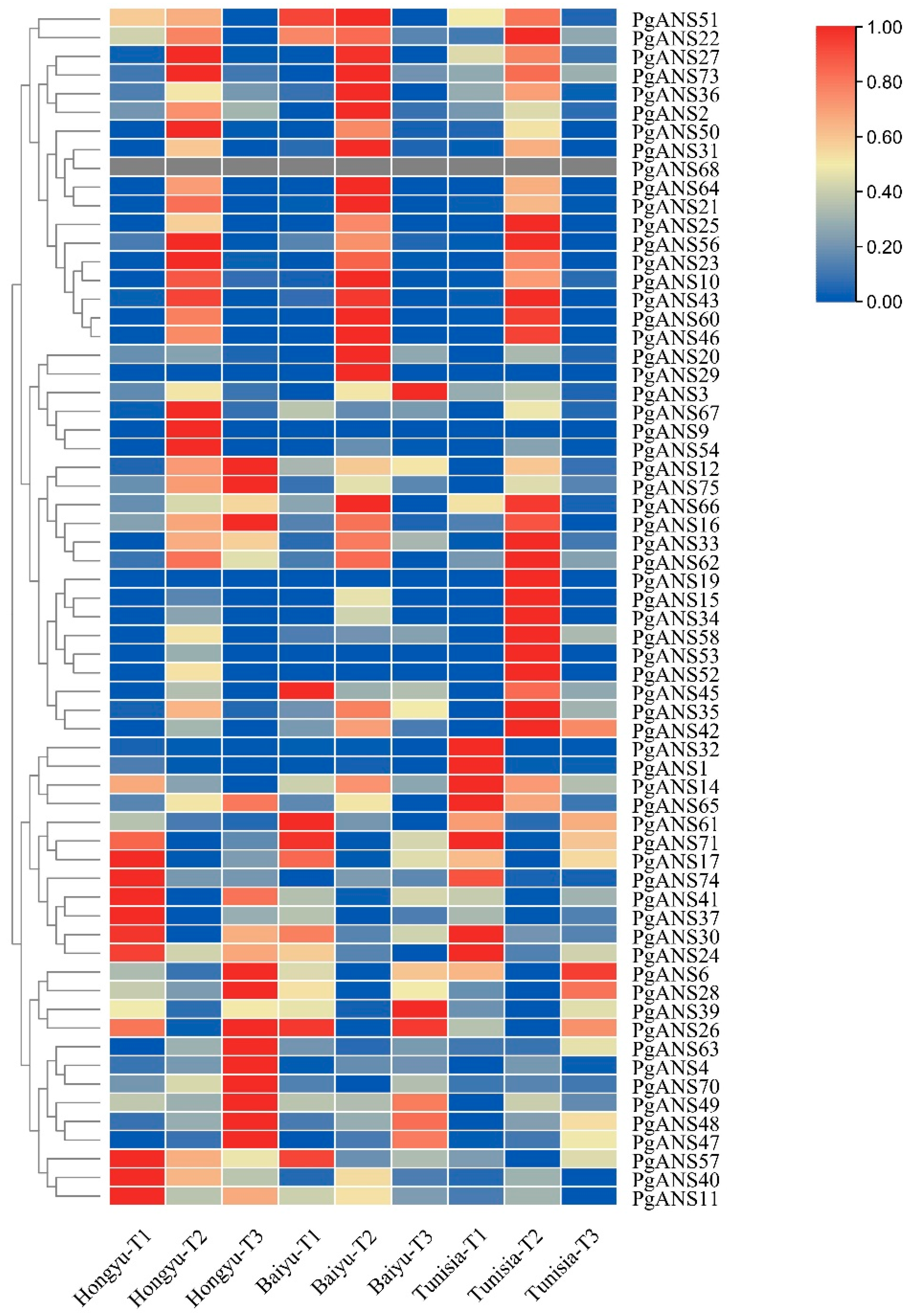Horticulturae | Free Full-Text | Genome-Wide Identification and ...