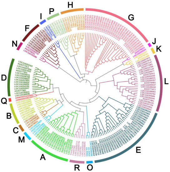 Molecular Identification and Characterization of UDP ...