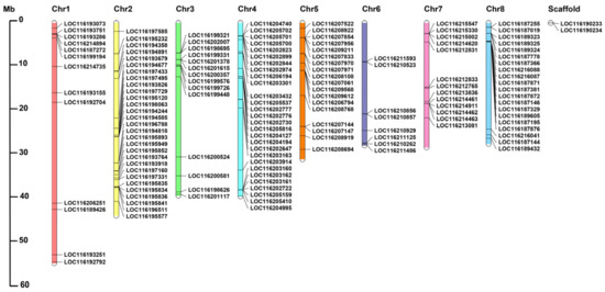Molecular Identification and Characterization of UDP ...