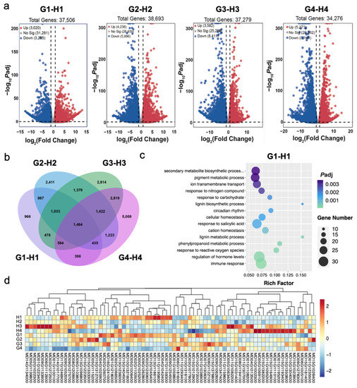 Transcriptomic Analysis Revealed the Discrepancy between Early-Ripening ...