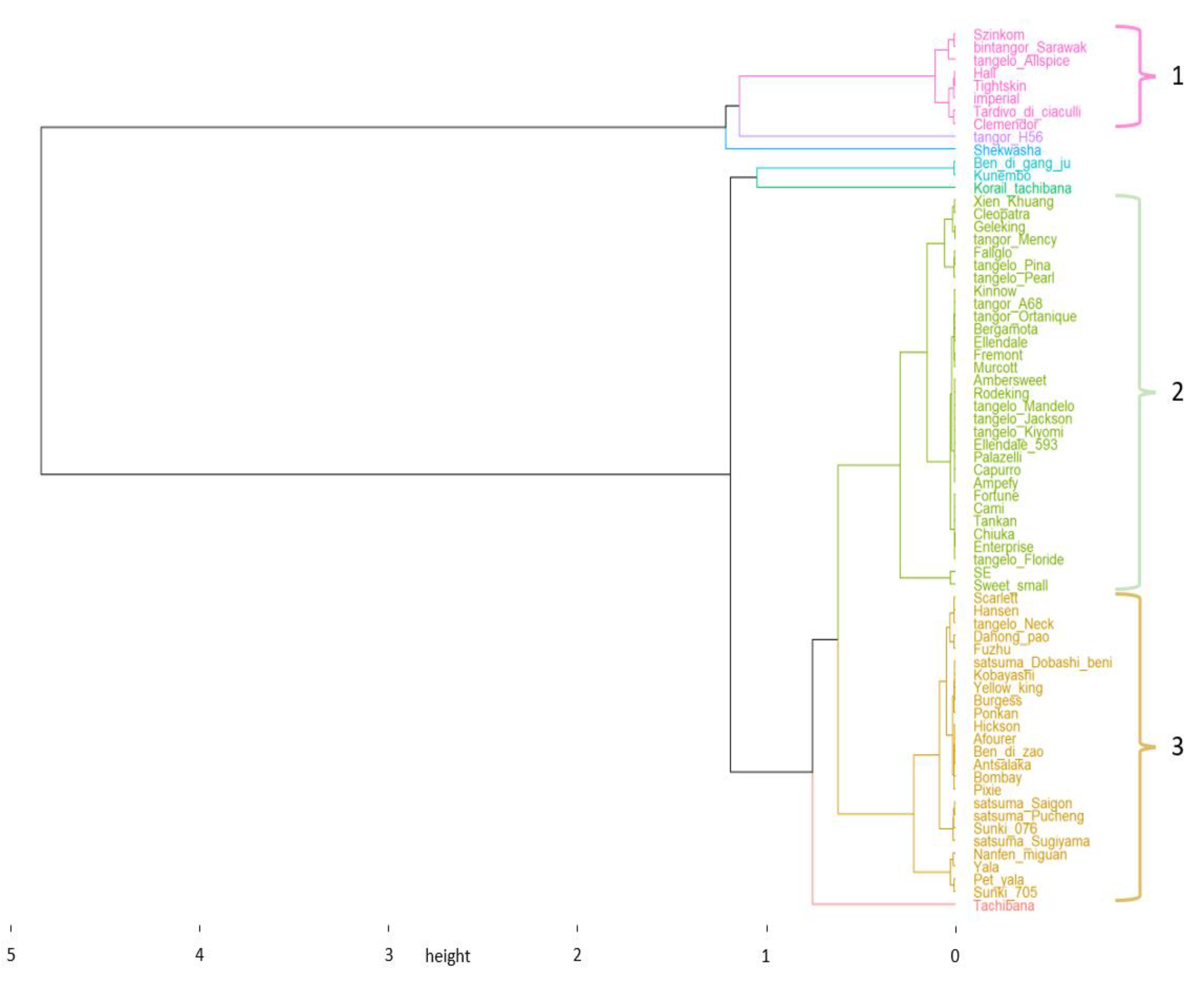 Horticulturae | Free Full-Text | Investigation of Diversity by ...