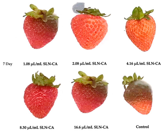 Application of Cinnamaldehyde Solid Lipid Nanoparticles in Strawberry ...