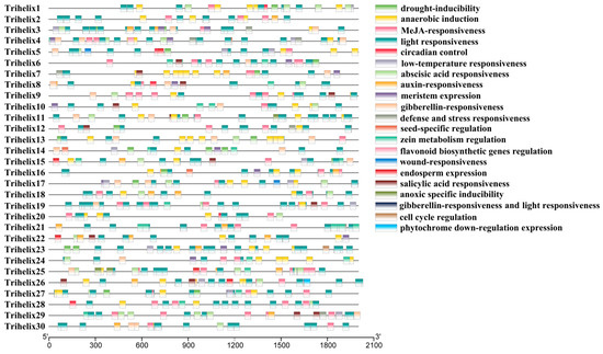 Expression Analysis of Trihelix Transcription Factor Family in ...