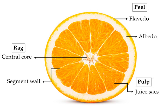 Effectiveness of Natural-Based Coatings on Sweet Oranges Post-Harvest ...