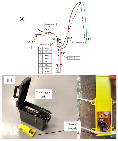 Simultaneous Trunk and Canopy Shaking Improves Table Olive Harvester ...