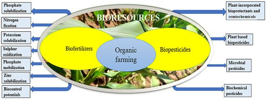 Bioresources in Organic Farming: Implications for Sustainable ...