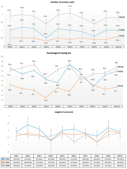In Vitro Long-Term Cultures of Papaya (Carica papaya L. cv. Solo)