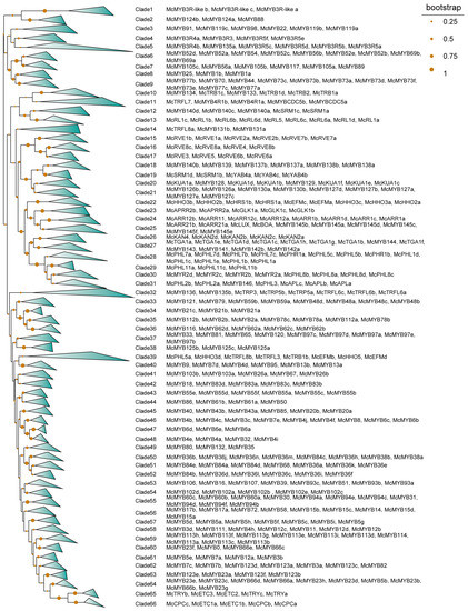 Horticulturae | Free Full-Text | Genome-Wide Identification, Characterization, and Expression ...