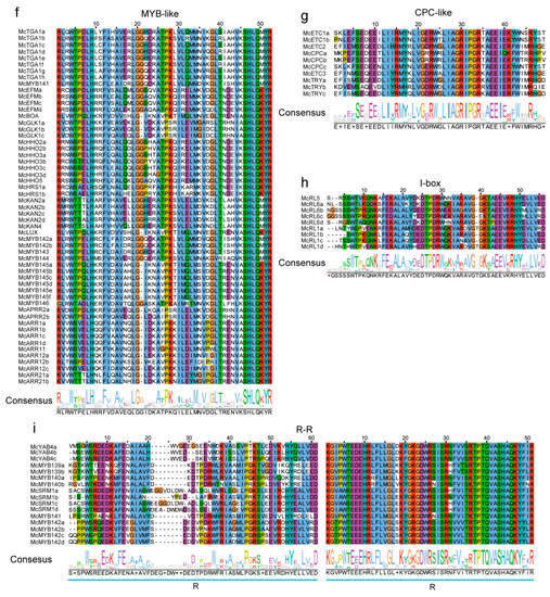 Horticulturae | Free Full-Text | Genome-Wide Identification, Characterization, and Expression ...