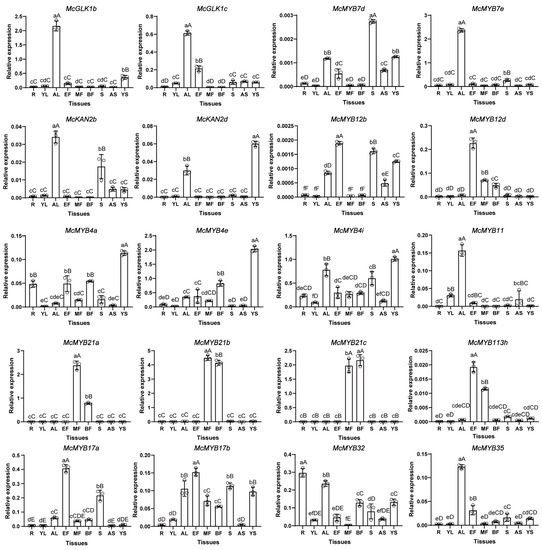 Horticulturae | Free Full-Text | Genome-Wide Identification, Characterization, and Expression ...