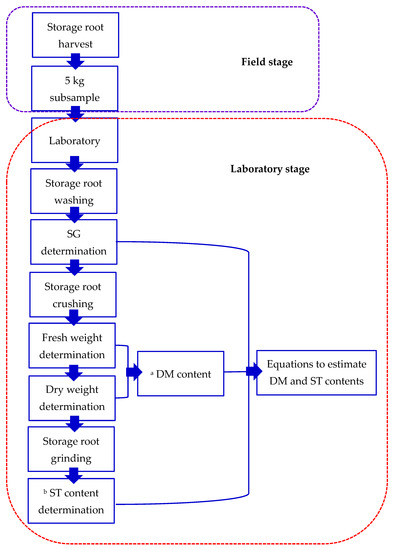 Measurement of Dry Matter and Starch in Modern Cassava Genotypes during ...