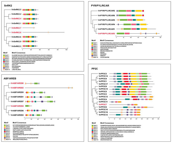 Identification of ABA Signaling Pathway Genes and Their Differential ...
