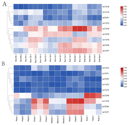 Horticulturae | Free Full-Text | TCP Transcription Factors in Pineapple ...