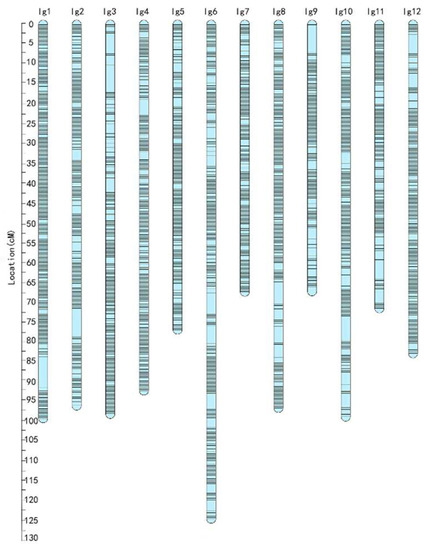 Construction of a High-Density Genetic Linkage Map Based on Bin Markers ...
