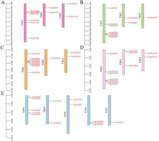 Genome-Wide Identification and Expression Profiling of the NCED Gene ...