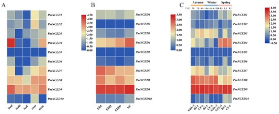 Genome-Wide Identification and Expression Profiling of the NCED Gene ...