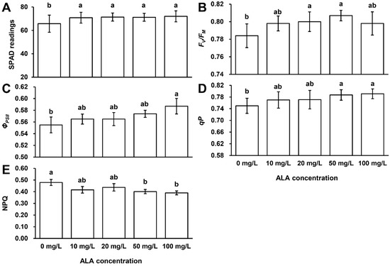 Effects of 5-Aminolevulinic Acid (5-ALA) on Physicochemical ...