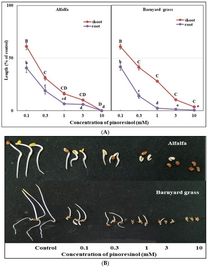 Trewia nudiflora Linn, a Medicinal Plant: Allelopathic Potential and ...