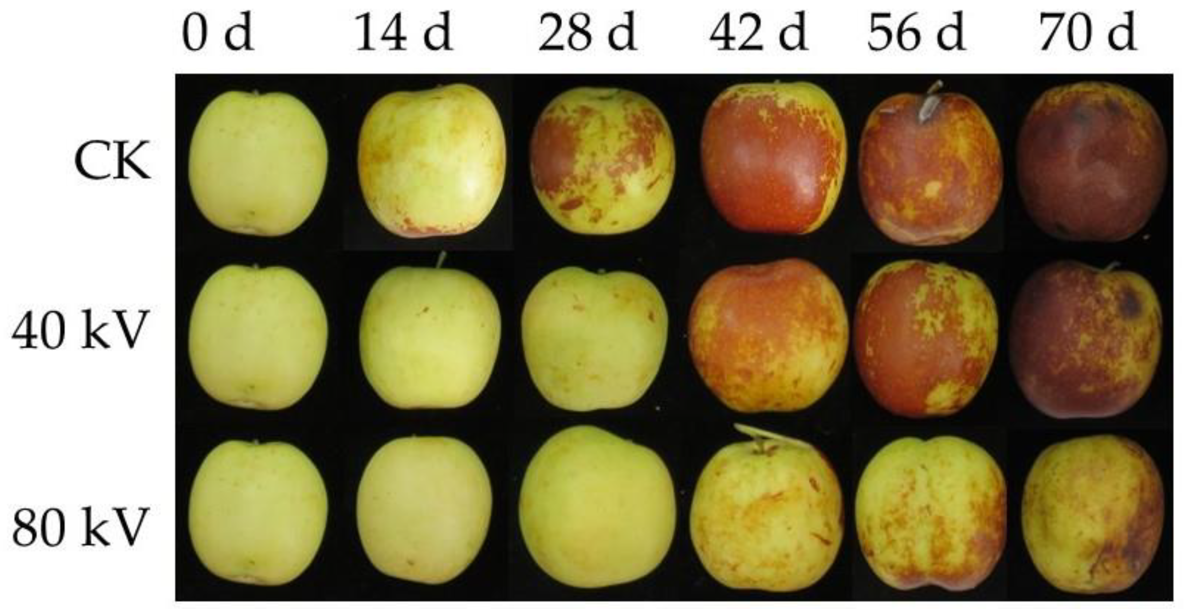 Effect of Cold Plasma Treatment on the Softening of Winter Jujubes (Ziziphus jujuba Mill. cv ...