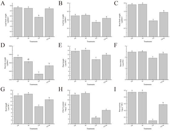 Exogenous Selenium Enhances Cadmium Stress Tolerance by Improving Physiological Characteristics ...