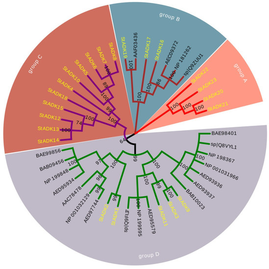 Identification and Expression Analysis of Adenylate Kinase Gene Family ...