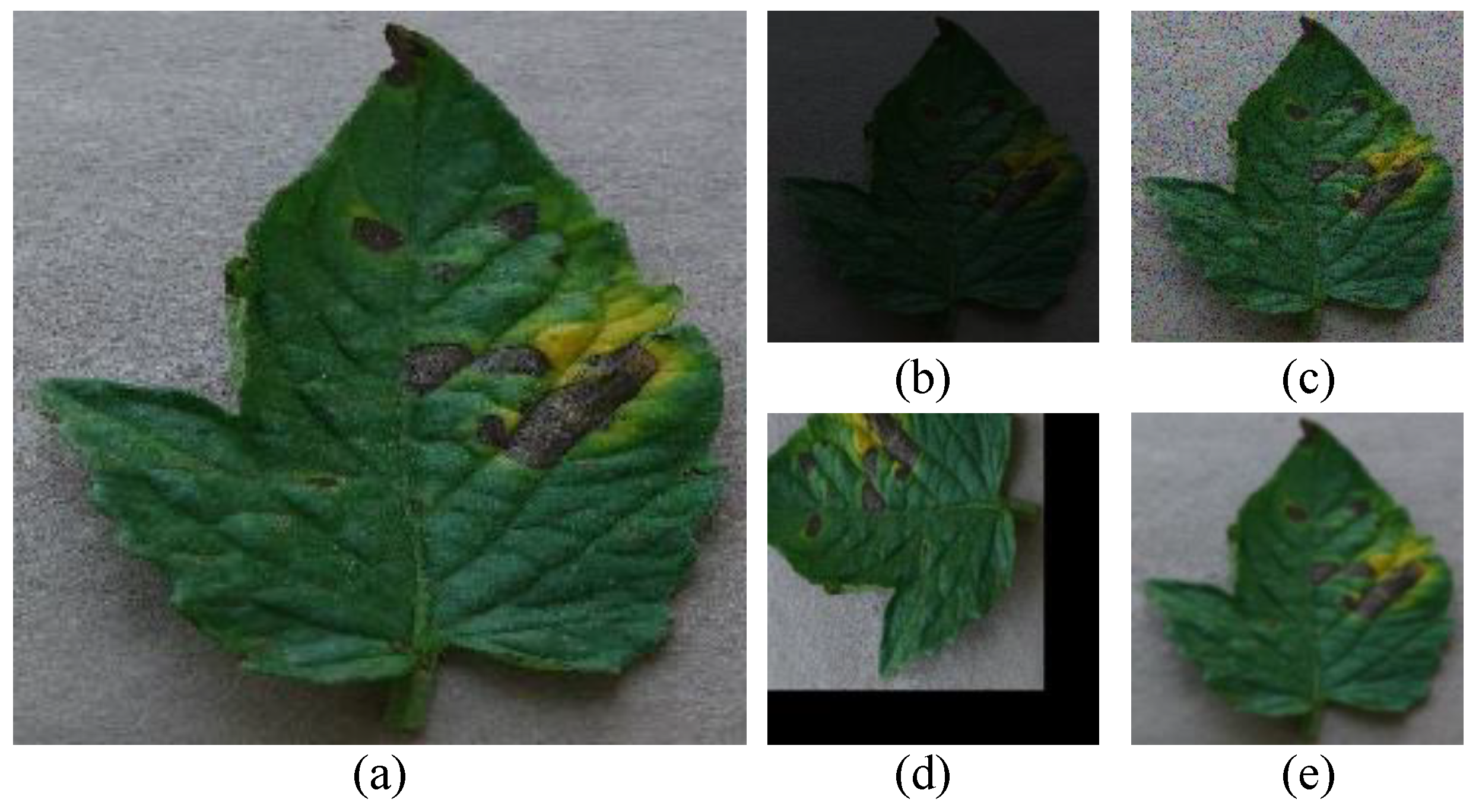Tomato Leaf Disease Recognition via Optimizing Deep Learning Methods Considering Global Pixel ...