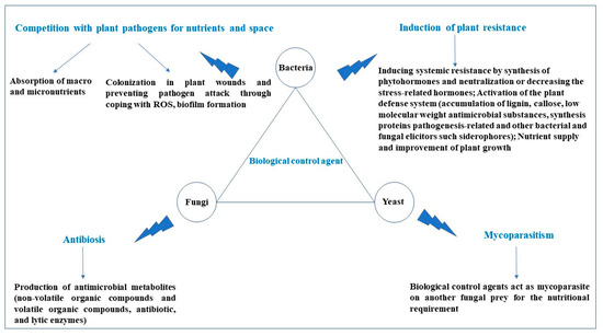 Horticulturae | Free Full-Text | Advances in Postharvest Diseases ...