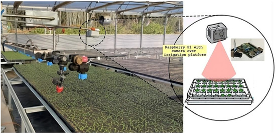 Automating Seedling Counts in Horticulture Using Computer Vision and AI