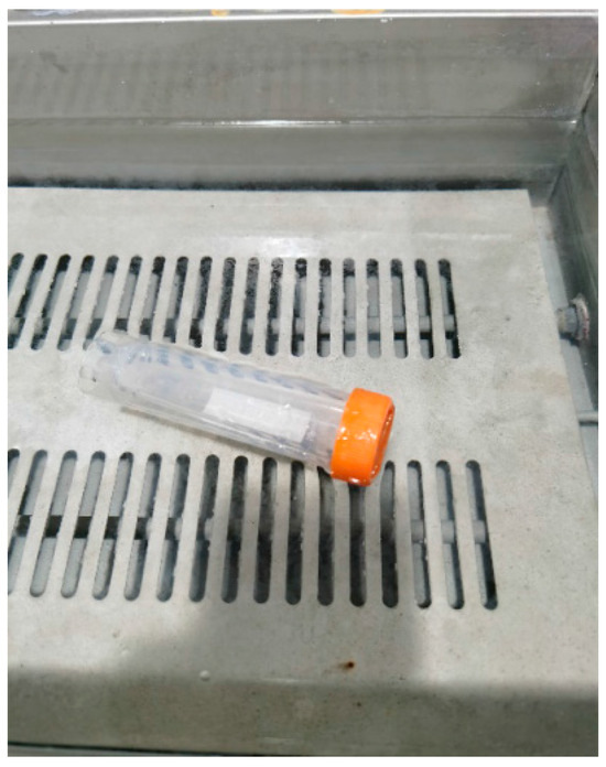 Horticulturae | Free Full-Text | Effect of Pre-Germination Temperature ...