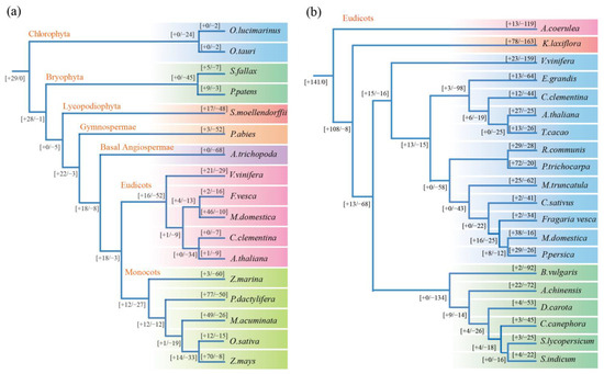Genome-Wide Classification and Evolutionary Analysis of the KNOX Gene ...