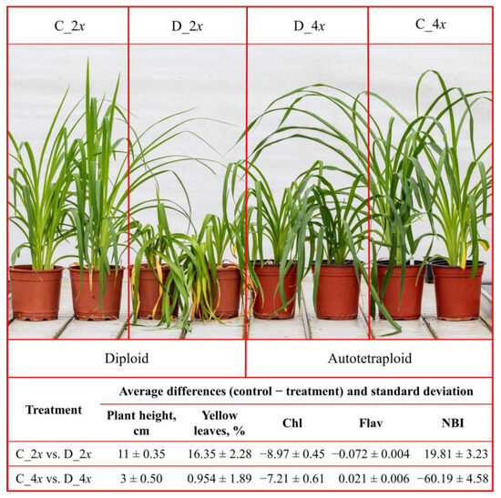 Transcriptome Analysis of Diploid and Autotetraploid Hemerocallis ...