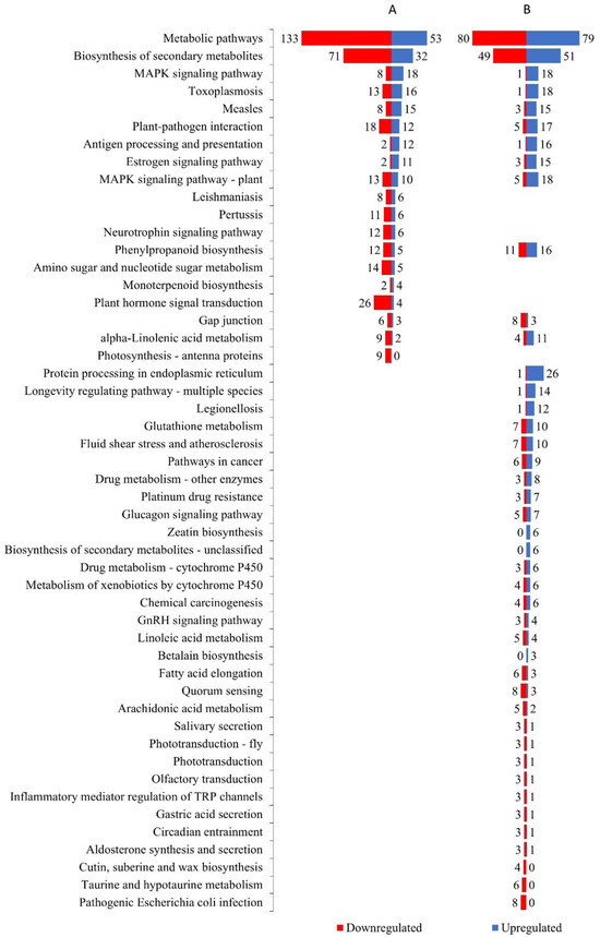 Transcriptome Analysis of Diploid and Autotetraploid Hemerocallis ...