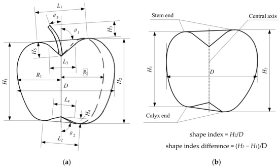Theoretical Analysis and Experimental Research on the Apple Auto ...
