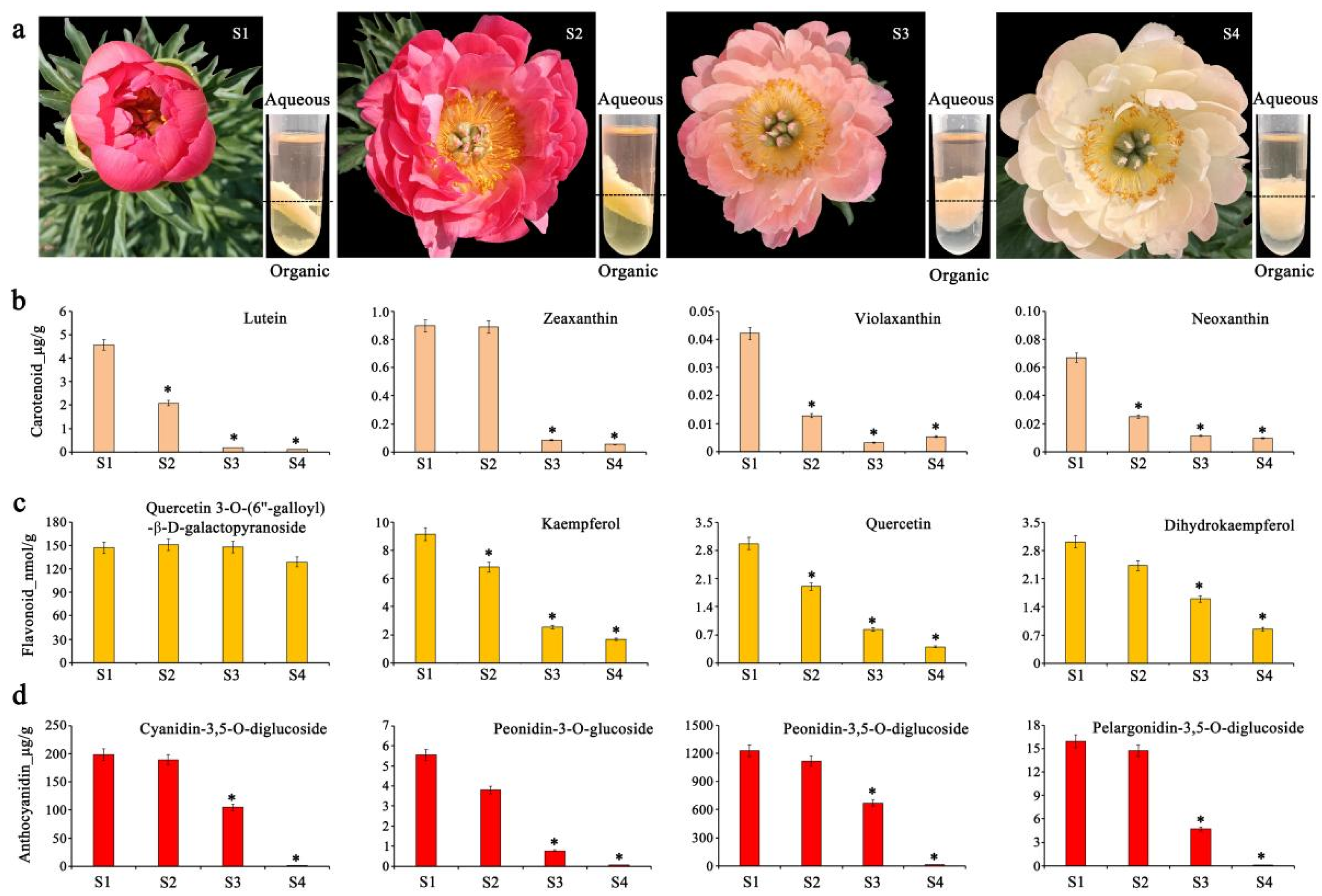 Comprehensive Transcriptome and Metabolome Characterization of Peony ...
