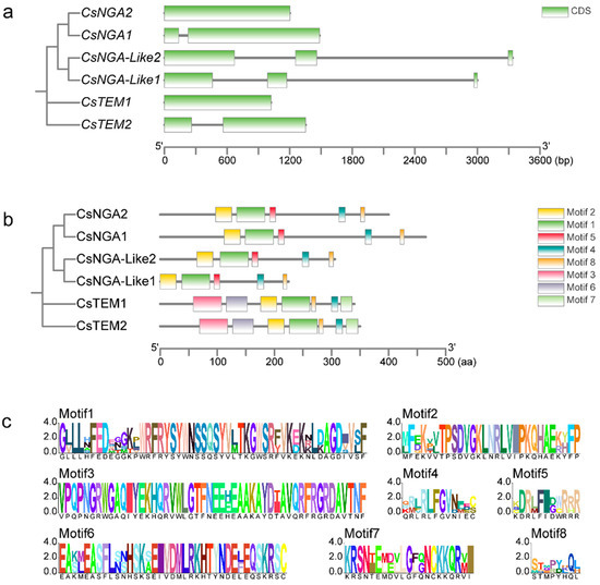 Genome-Wide Analysis of the Related to ABI3/VP1 Family Genes in ...