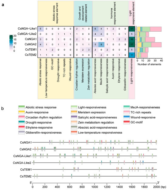 Genome-Wide Analysis of the Related to ABI3/VP1 Family Genes in ...