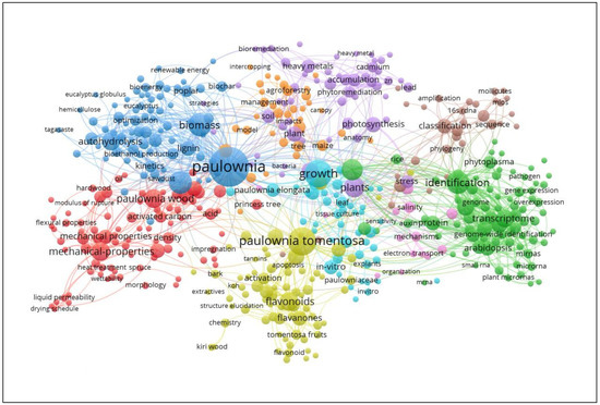Paulownia spp.: A Bibliometric Trend Analysis of a Global Multi-Use Tree