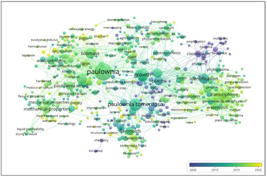 Paulownia spp.: A Bibliometric Trend Analysis of a Global Multi-Use Tree