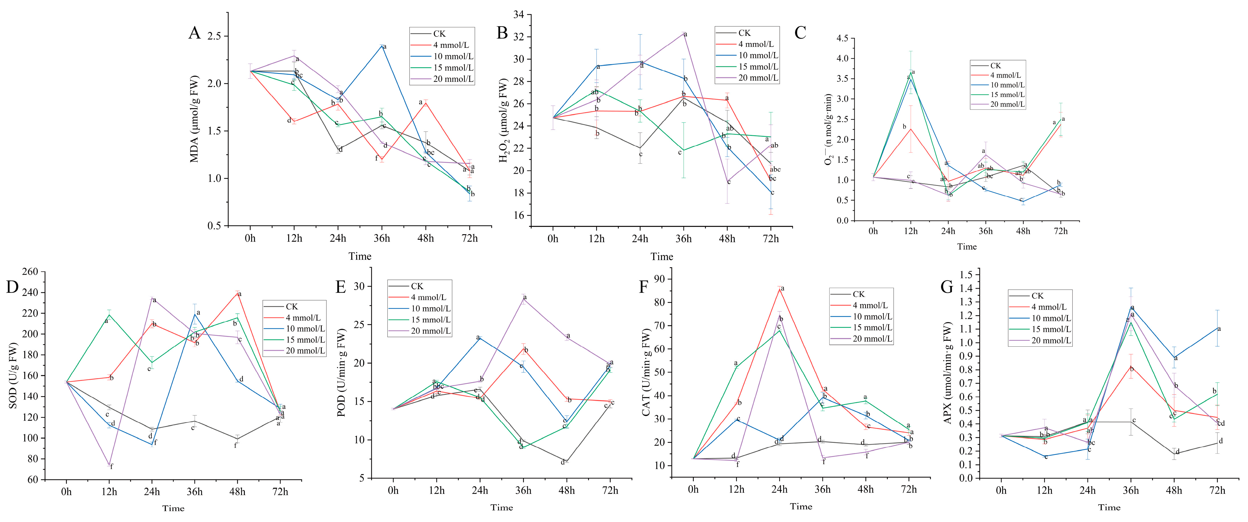 Horticulturae | Free Full-Text | Physiological and Transcriptional Analysis Provides Insights ...