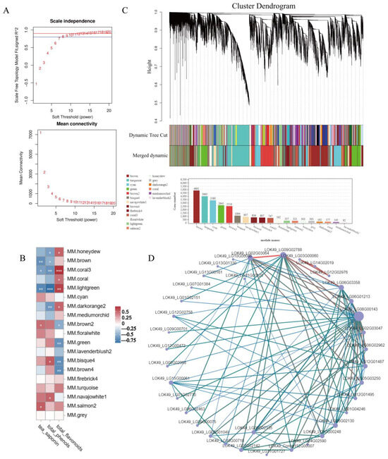 Horticulturae | Free Full-Text | Physiological and Transcriptional Analysis Provides Insights ...