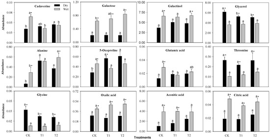Response of Metabolites in Cymbopogon distans Leaves to Water Addition ...