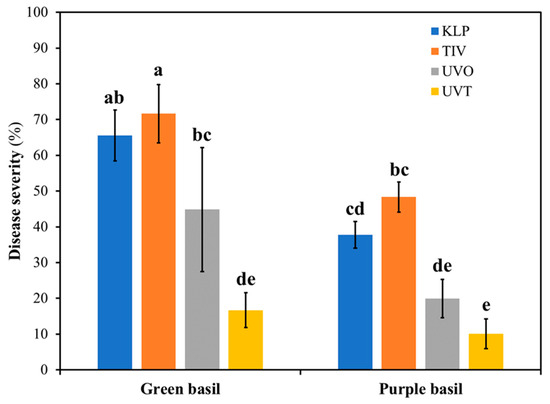 Horticulturae | Free Full-Text | Soilless-Grown Green and Purple Basil ...