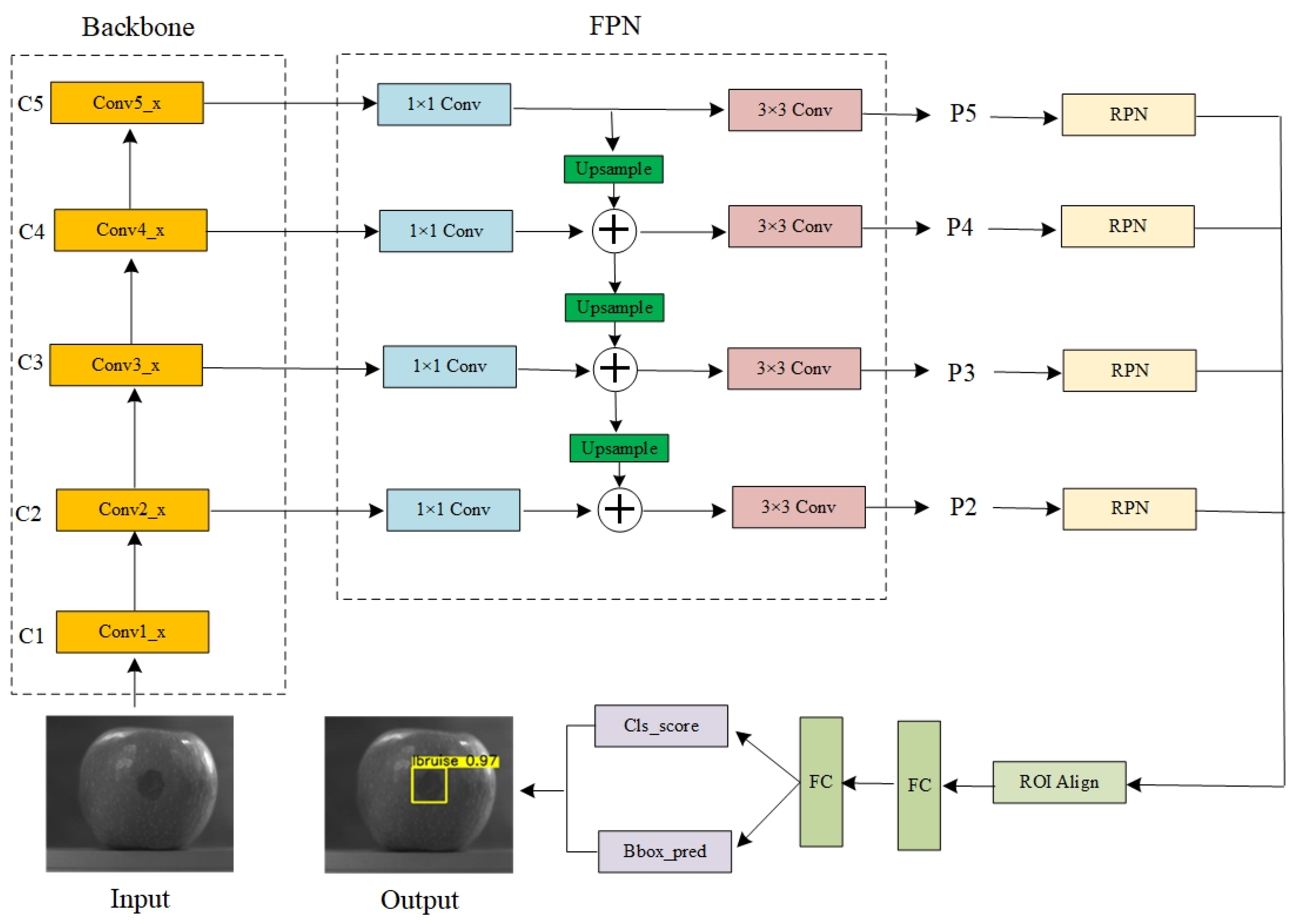 Early Bruise Detection in Apple Based on an Improved Faster RCNN Model