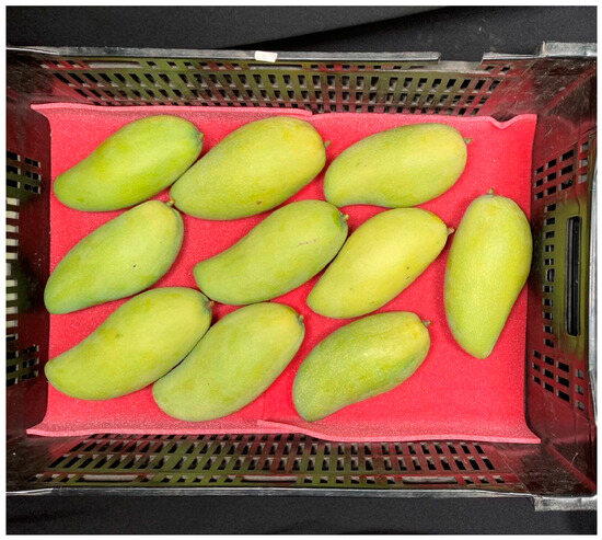 Exploitation of Post-Ripening Treatment for Improving Cold Tolerance ...